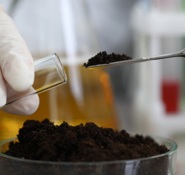Soil Compaction Test: Purpose, Process & Testing Methods