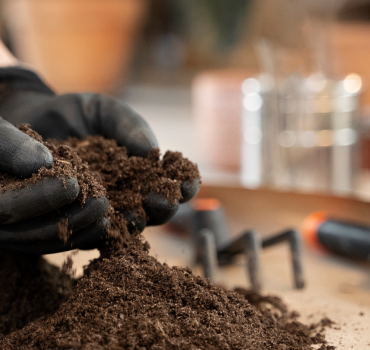 Soil Compaction Test: Purpose, Process & Testing Methods